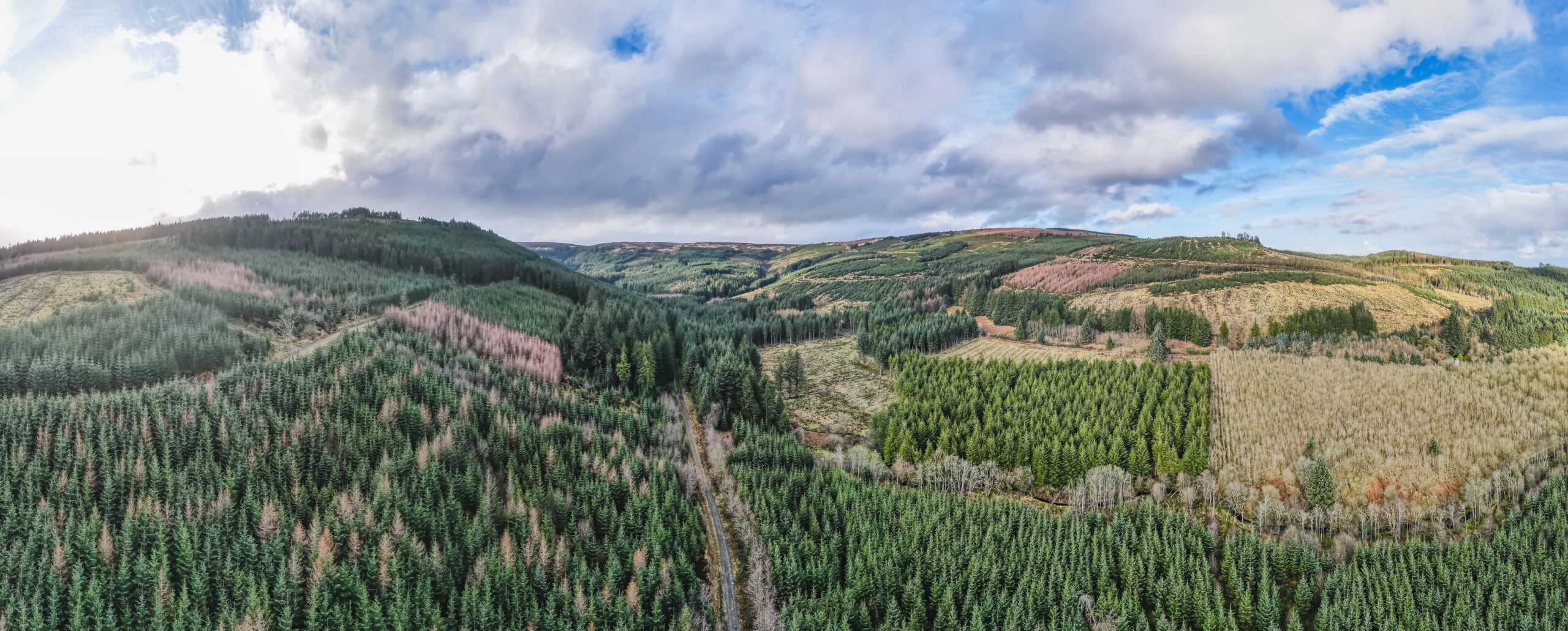 Slieve Bloom - A brand new cycling experience - Škoda We Love Cycling ...