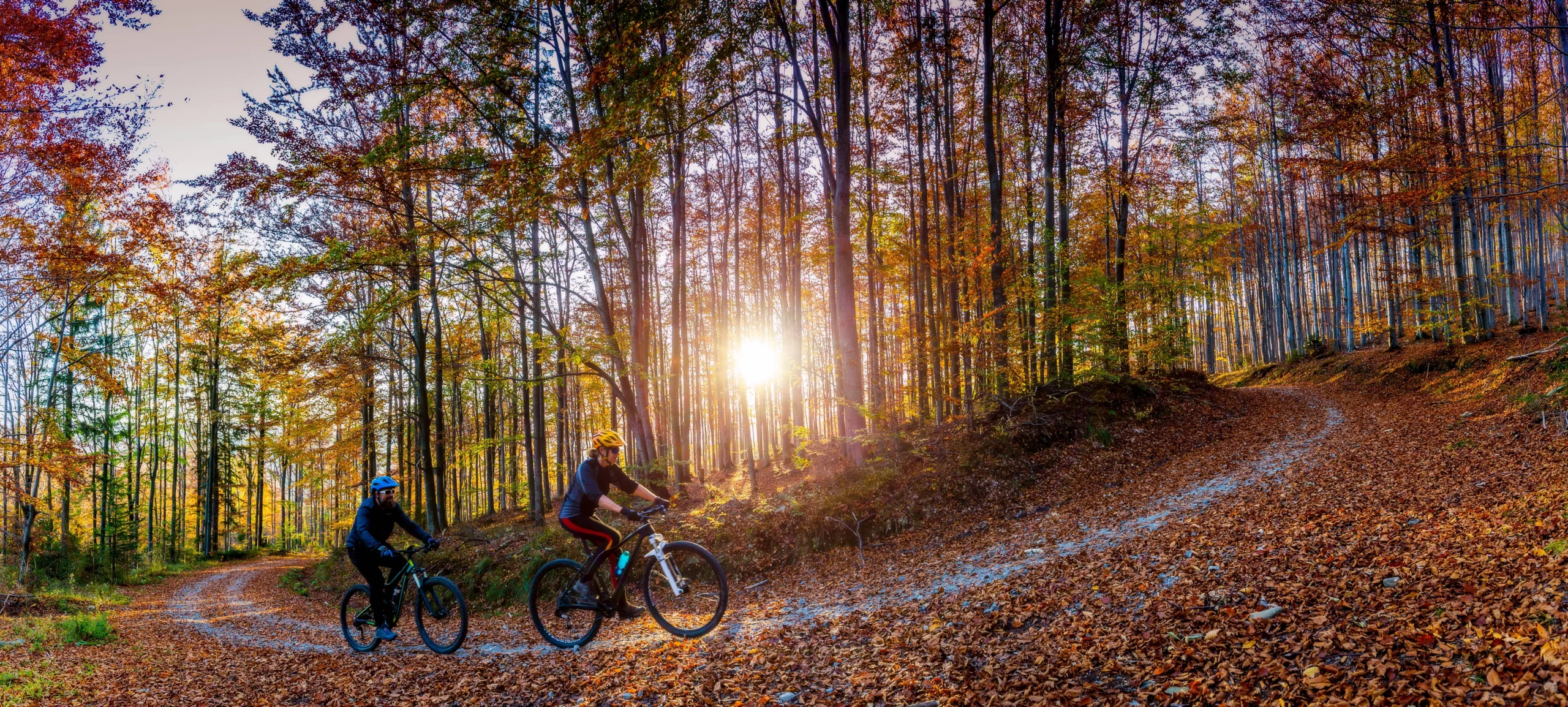 Cycling into autumn: How to transition your training plan - We Love ...