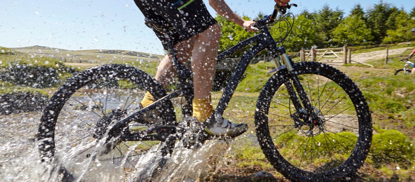 5 Ideas for a ‘Wild Ride’ That Doesn’t Need to Be Gnarly