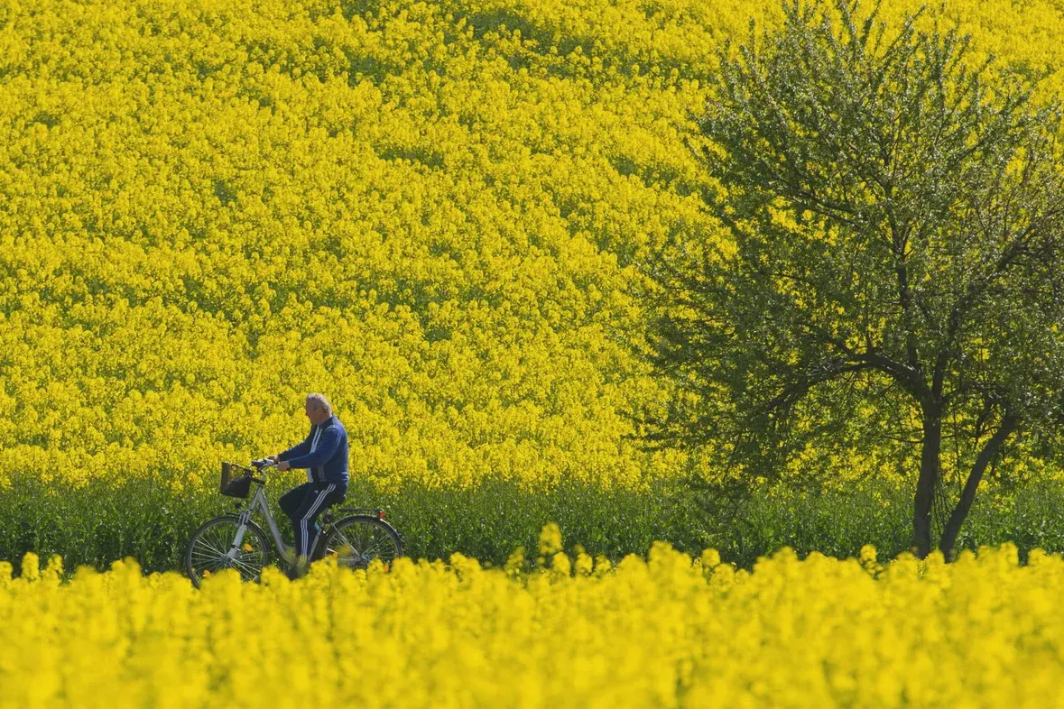 Best Spring Cycling Trips: Watch the Flowers Bloom From the Saddle ...