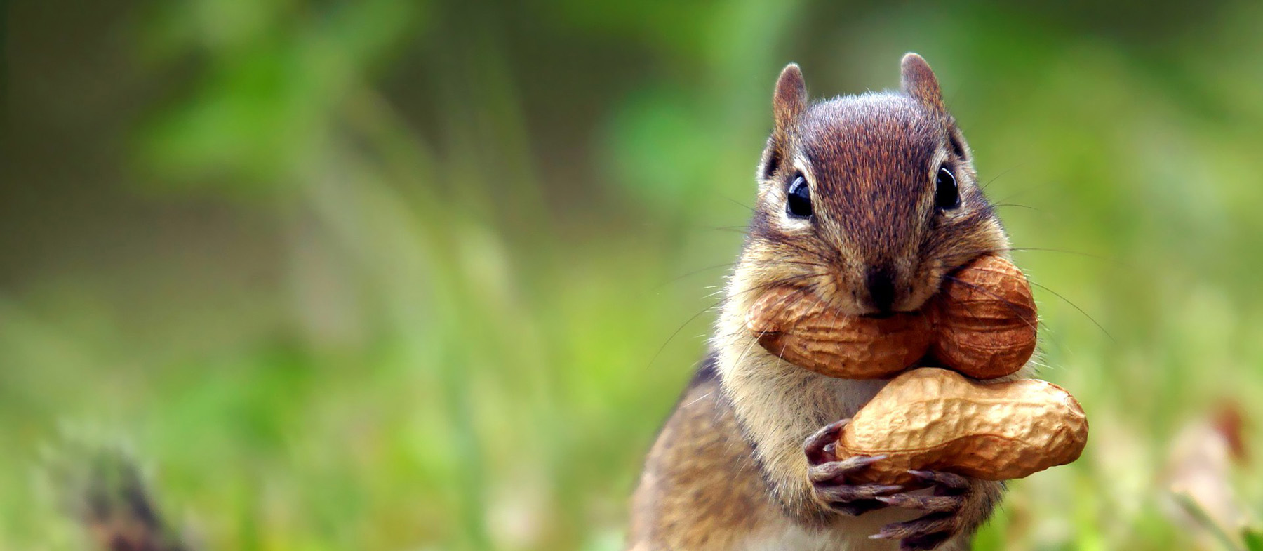 Foods for Riding: Are Nuts Making You Fat? - We Love Cycling magazine