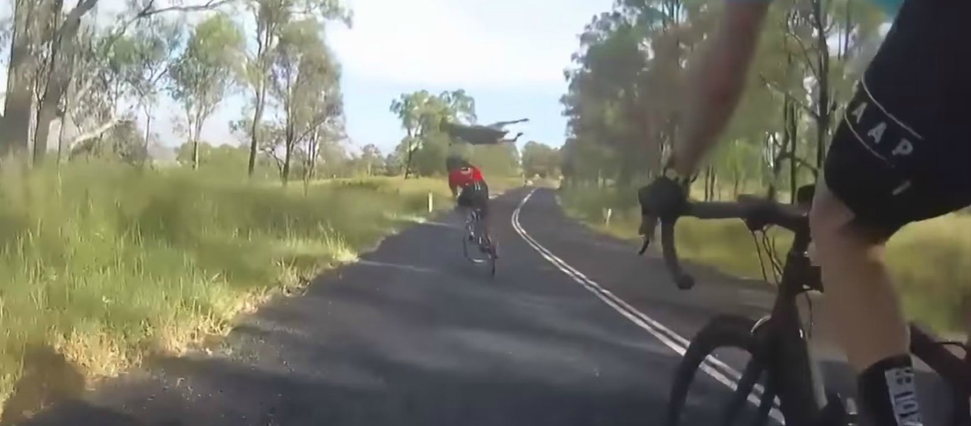 Infamous (and Annoying) Obstacles in Cycle Pathways - We Love Cycling ...