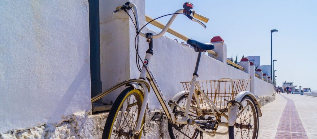 Tricycles for Adults: 5 Tips on Adult Tricycles - We Love Cycling Magazine