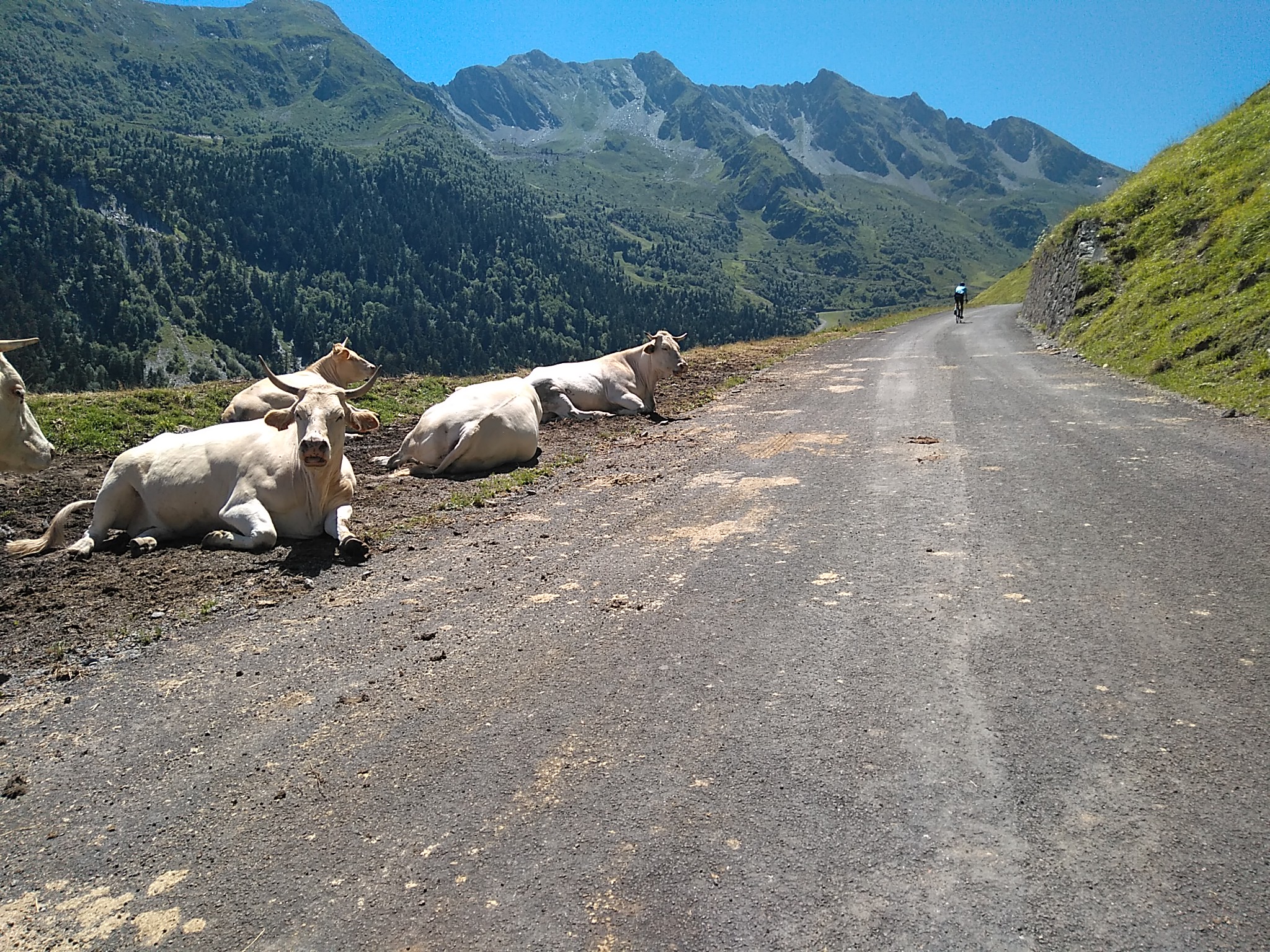 Col de Portet, el nuevo coloso del Tour en Pirineos - Škoda We Love ...